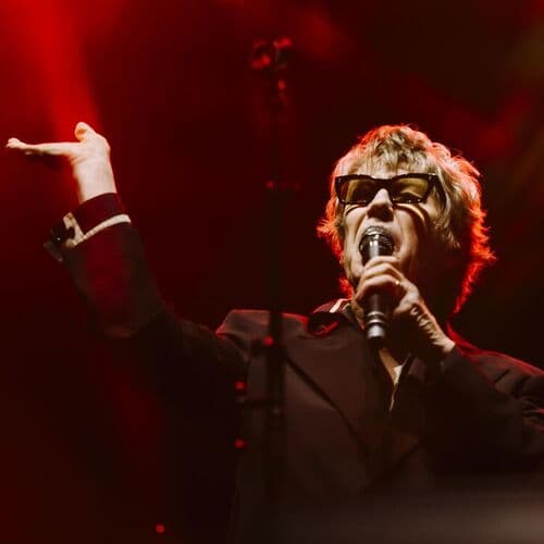 Biografia de The Psychedelic Furs